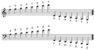 Types of Musical Notes - Complete Guide To Sheet Music